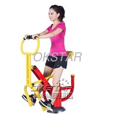 China China good quality hot sale cheap Outdoor Fitness Equipment rider supplier