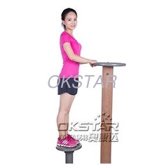 China outdoor fitness equipment twister gym equipment supplier
